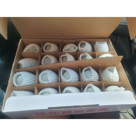Jual Telur Pitan Phitan Satuan Shopee Indonesia