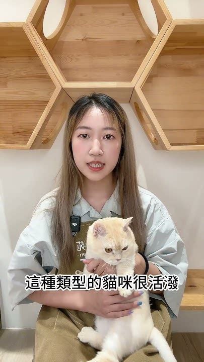 你知道貓咪有哪些性格嗎？（上） 貓旅館 貓住宿 貓後苑 Youtube