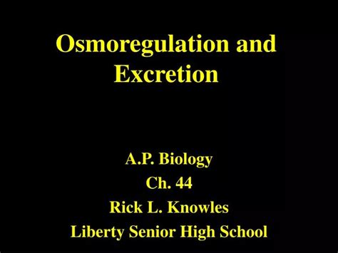 Ppt Osmoregulation And Excretion Powerpoint Presentation Free