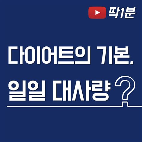 다이어트 기본 개념 1일 대사량 기초대사량 활동대사량 계산