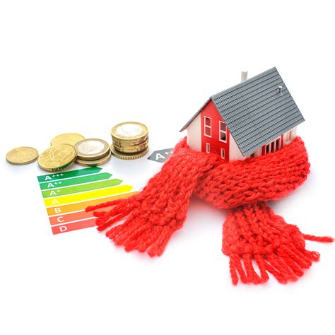 Изолација Најголема онлајн продавница во Македонија Ананас МК