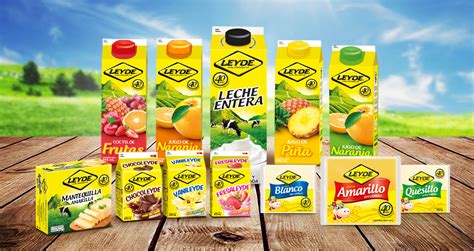 Leyde Rebranding Behance