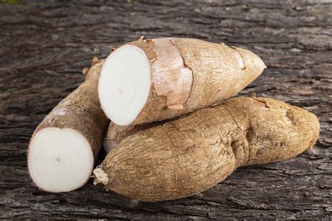 Yuca Los Beneficios De Este Tubérculo Para Los Mayores