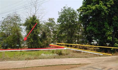 ขายที่ดินว่างเปล่า อำเภอเมืองสกลนคร สกลนคร ที่ดินร้อยแปด คอม