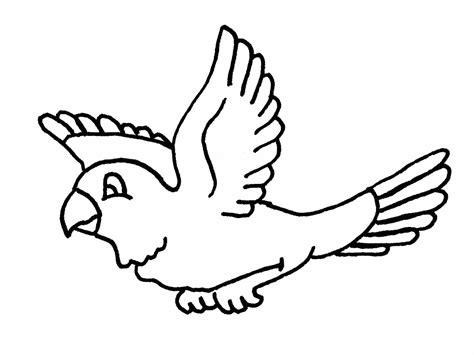 Desenho De Papagaio Voando Para Colorir Tudodesenhos