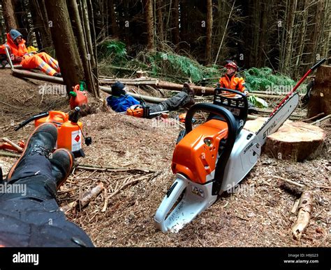 Stihl Chainsaw Stock Photos Stihl Chainsaw Stock Images Alamy