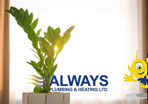 Ways To Raise Humidity In Your Home