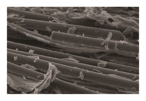 Scanning Electron Micrographs Of Interfacial Failure For The