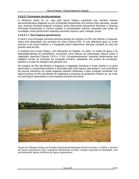 Plano De