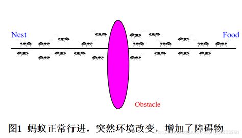 基于蚁群聚类算法的图像边缘检测蚁群算法边缘检测 Csdn博客