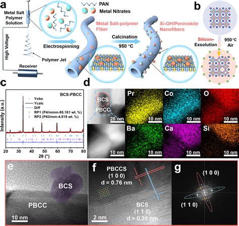 Preparation And Characterization Of Bcs Pbcc A Schematic Illustration