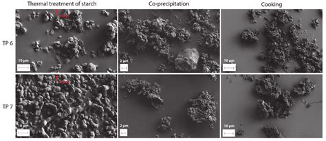 The Effect Of Starch Treatment Temperature On The Formation Of Corn