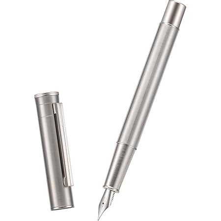 Hong Dian Pluma estilográfica Forest Pro Silver de acero inoxidable