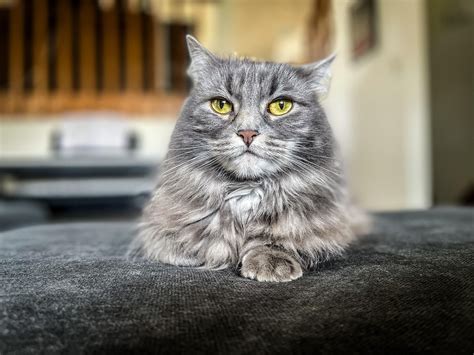 Lily Doesnt Need Reddit To Tell Her Shes Beautiful But Shell Accept