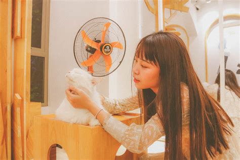 Build A Very Cool Css Brand Electric Fan By Omgzui Javascript In Plain English