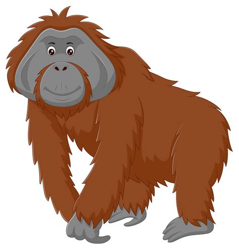 Cute Orangutan Cartoon Isolated On White Background Vector