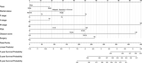 Newly Defined Nomogram For The Overall Survival Prediction Of