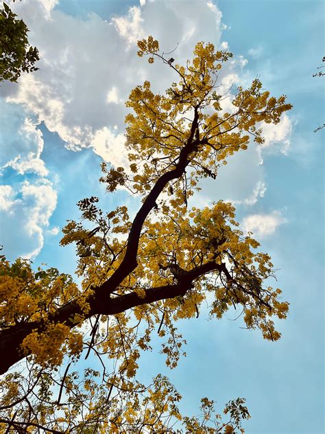 Aman Siddiqui Photography