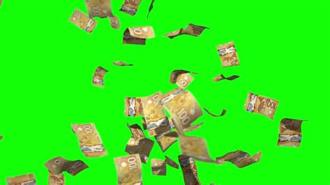 820 Dollars Rain Stock Videos Footage And 4k Video Clips Getty Images