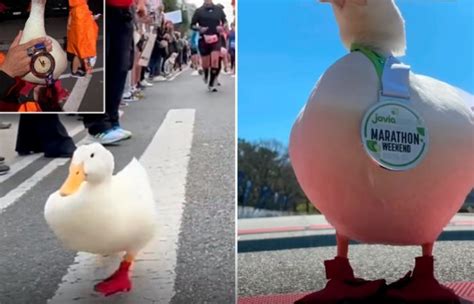 Catdumb แคทดั๊มบ์ เล่าเรื่องน่าสนใจ ในแบบที่แมวก็เข้าใจง่ายๆ Page 535