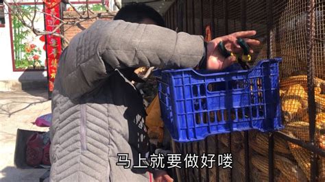 农村老二给女儿制作啥篮球框，网友看后笑的肚子疼，全家运动真好亲子早教好看视频