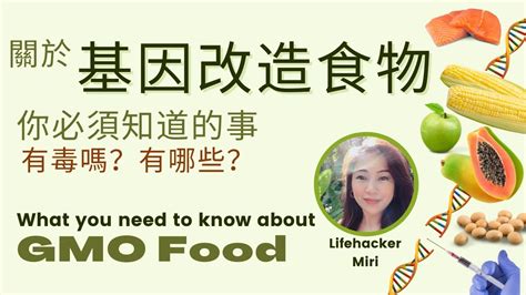 轉基因食品有哪些？如何避開gmo｜轉基因背後的產業鏈 ｜all About Gmo Products Youtube