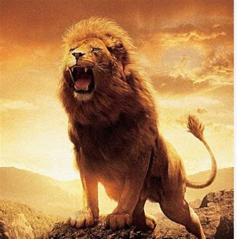 Bbc Burmese မိုးဗြဲဖယ်ခုံတိုက်ပွဲမှာ စစ်ကောင်စီဘက်ကအကျအဆုံးများတယ်လို့ လွိုင်ကော် Pdf ထုတ်ပြန