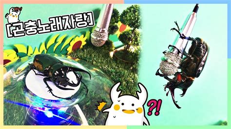 [곤충동화]곤충노래자랑 에그박사와 곤충친구들 Youtube