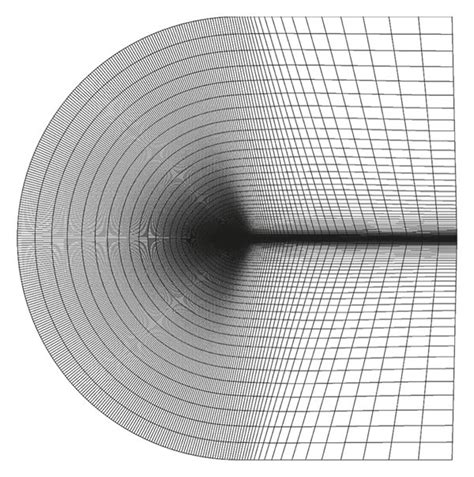 Far Field Of Initial Algebraic Euler And Navierstokes Meshes