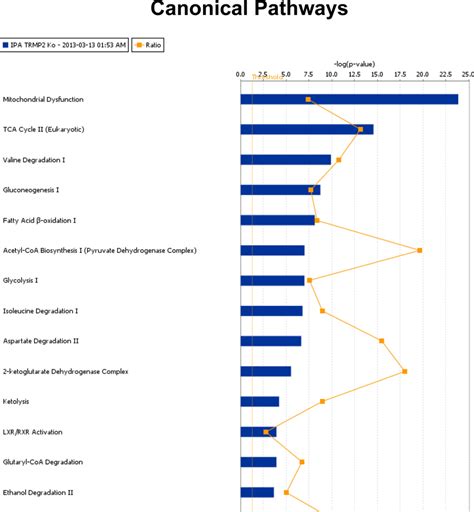 Top Network Functions Generated Using Ingenuity Pathways Analysis For