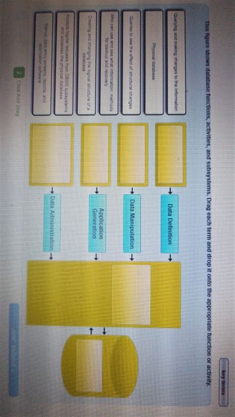 Solved Data Definition Data Manipulation Application Data Chegg