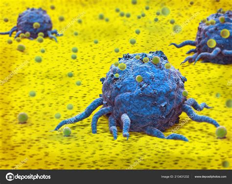 Crabs Under Microscope