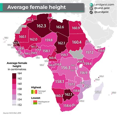 Average Female And Male Height In Africa Landgeist