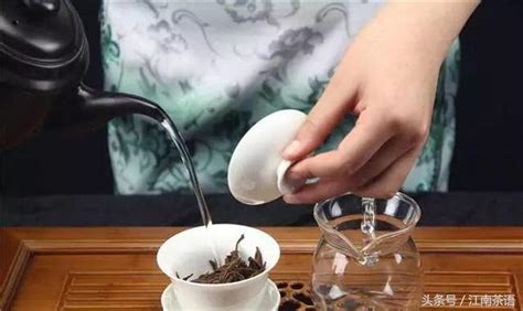 懂茶妹說茶｜幾個小常識，準確把握沖泡普洱茶的水溫！ 每日頭條