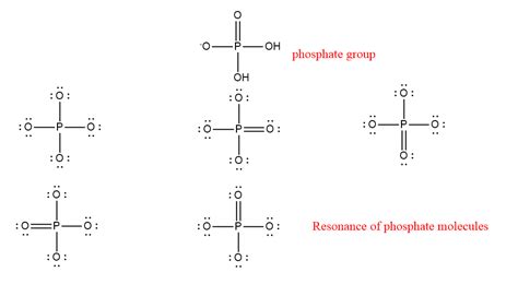 Nucleic Acids Definition Structure Reliable Function And 2 Major Types Chemistry Notes