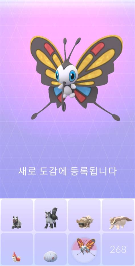 [포켓몬고] 개무소 진화 실쿤 카스쿤