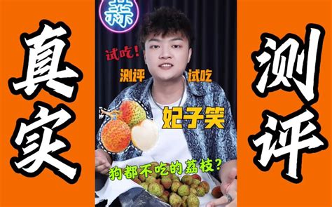 测评荔枝 海潮有点潮 海潮有点潮 哔哩哔哩视频