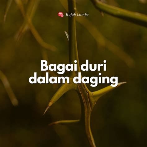 Arti Peribahasa Bagai Duri Dalam Daging Maestro Media