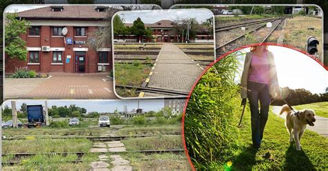 Filmul Complet Al Violului Din Gară De La Iași Tânăra Abuzată