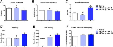 Activity And Motor Alterations In Low And Higher Expresser Mutant 3r