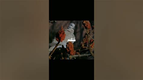 فأستجاب لهم 🤎 Youtube