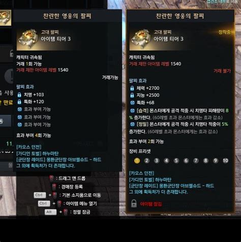 편린 20만골 로스트아크 에펨코리아