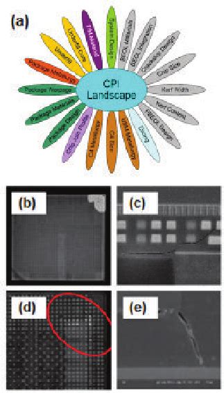 A Various Components Affecting CPI Result Download Scientific Diagram