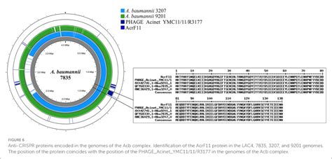 Figure 6 From A Bioinformatic Approach To Identify Confirmed And Probable Crispr Cas Systems In