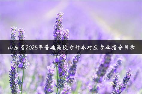 亳州学院2025年普通专升本招生方案