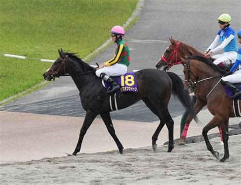 【オークス】ランスオブクイーン5着 14番人気が大健闘 横山和「この距離も問題ない」 競馬ニュース Netkeiba