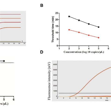 Cav Rpa Assays A Sensitivity Of Cav Rpa Assays Was Assessed With