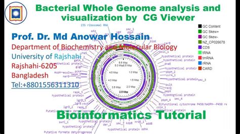 Tutorial No 1 Bacterial Whole Genome Sequence Wgs Analysis