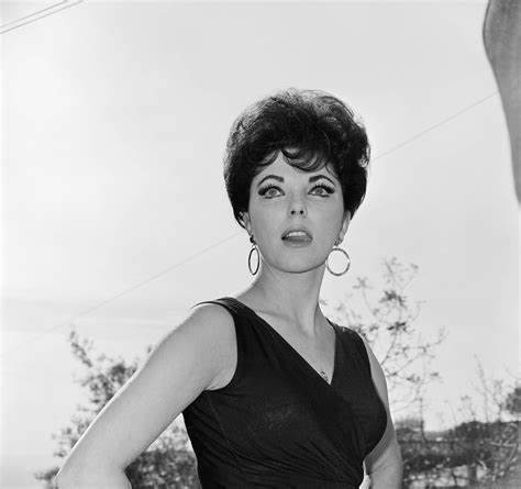 Slice Of Cheesecake Joan Collins Pictorial