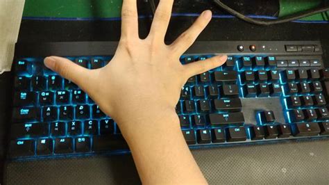 컴퓨터 키보드로 손크기 재기 F1 ~ F12 인스티즈instiz 이슈 카테고리